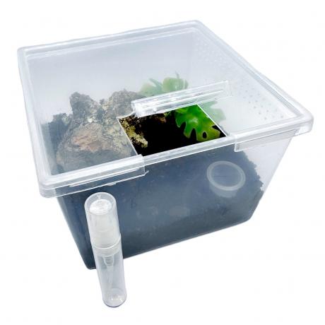 Exotic Pets Essentials Spiderling Kit - Housing for Spiderlings