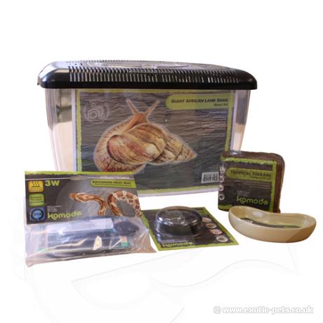 Komodo Basic Giant African Land Snail Kit - Komodo Basic Giant Snail Kit
